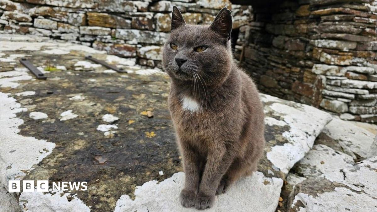 Your pictures of Scotland: Photographs from 23-30 August - BBC News