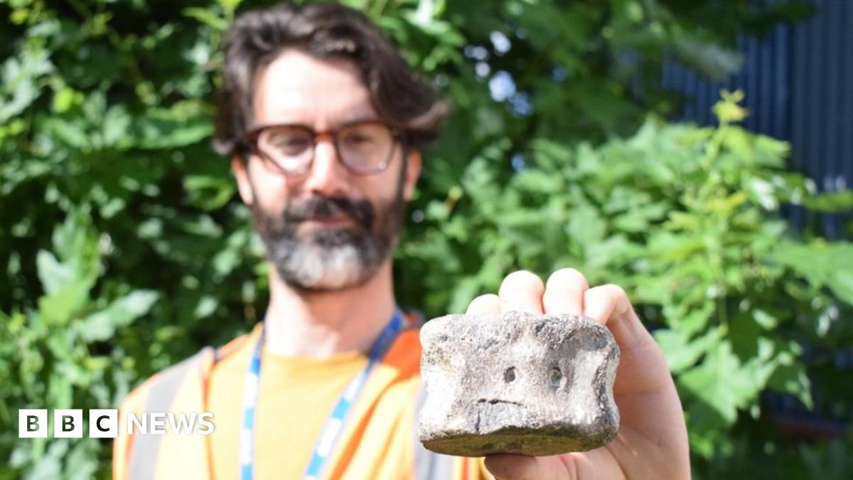 Cambridge dinosaur bone probably from Roman fossil hunter - BBC News
