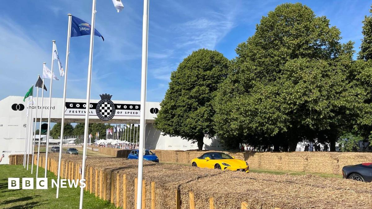 Goodwood Festival of Speed: Fans flock to the West Sussex event - BBC News