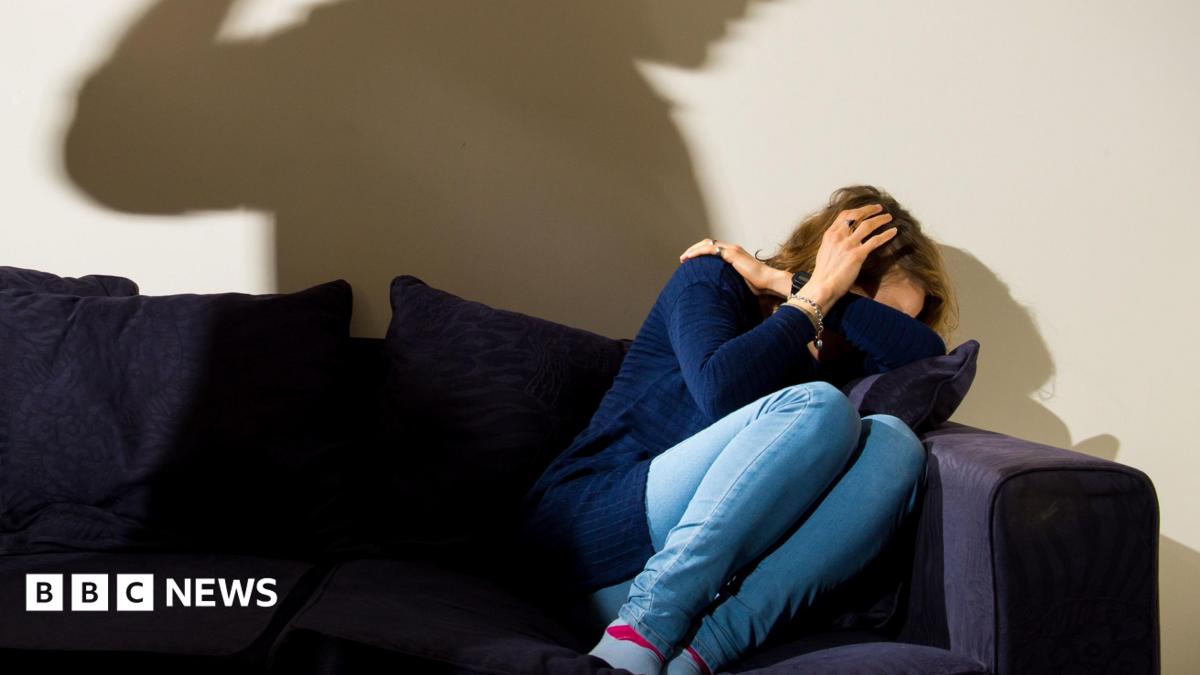 Gloucester MP's new bill proposes time off for abuse victims - BBC News