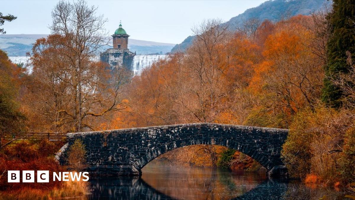 Welsh Water: What is the company and how does it work? - BBC News