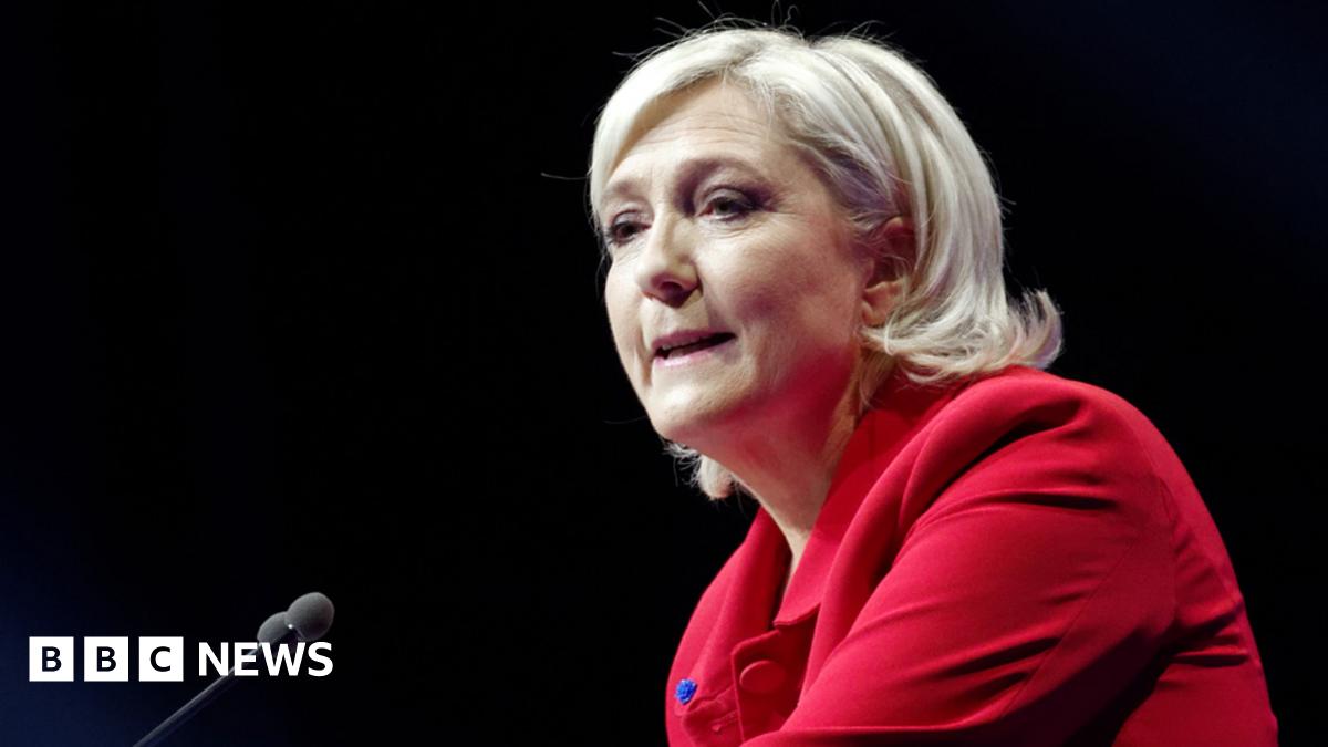 French election: Le Pen pledges to suspend immigration - BBC News