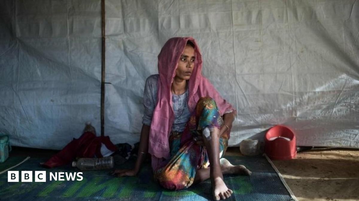 Rohingya crisis: UN rights chief 'cannot rule out genocide' - BBC News