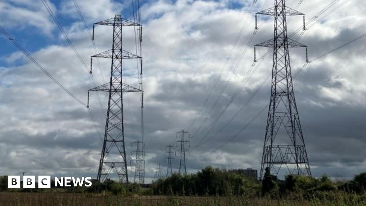 Pylons 'cheapest option' - independent report. - BBC News