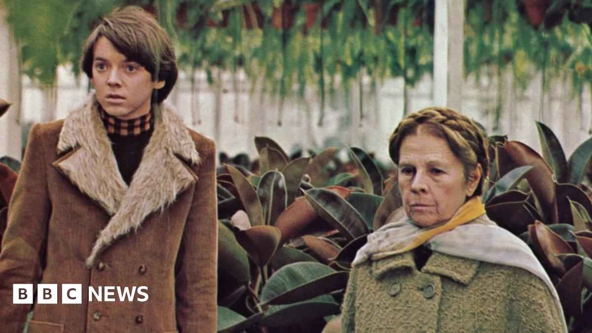 Bud Cort, star of cult classic Harold and Maude, dies aged 77 - BBC News