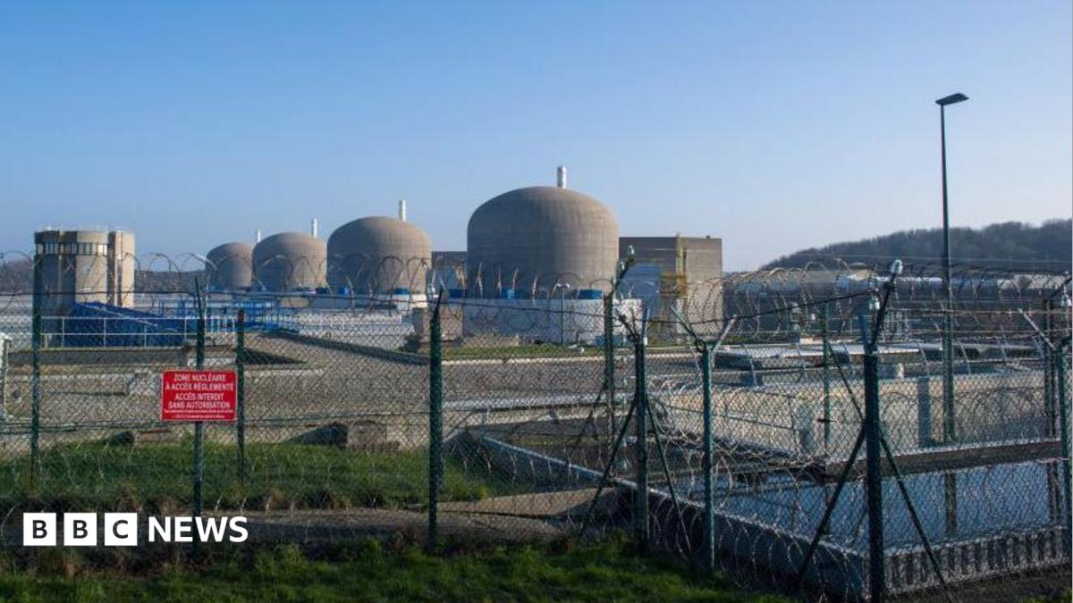 Jellyfish disrupt French nuclear power plant for second time - BBC News