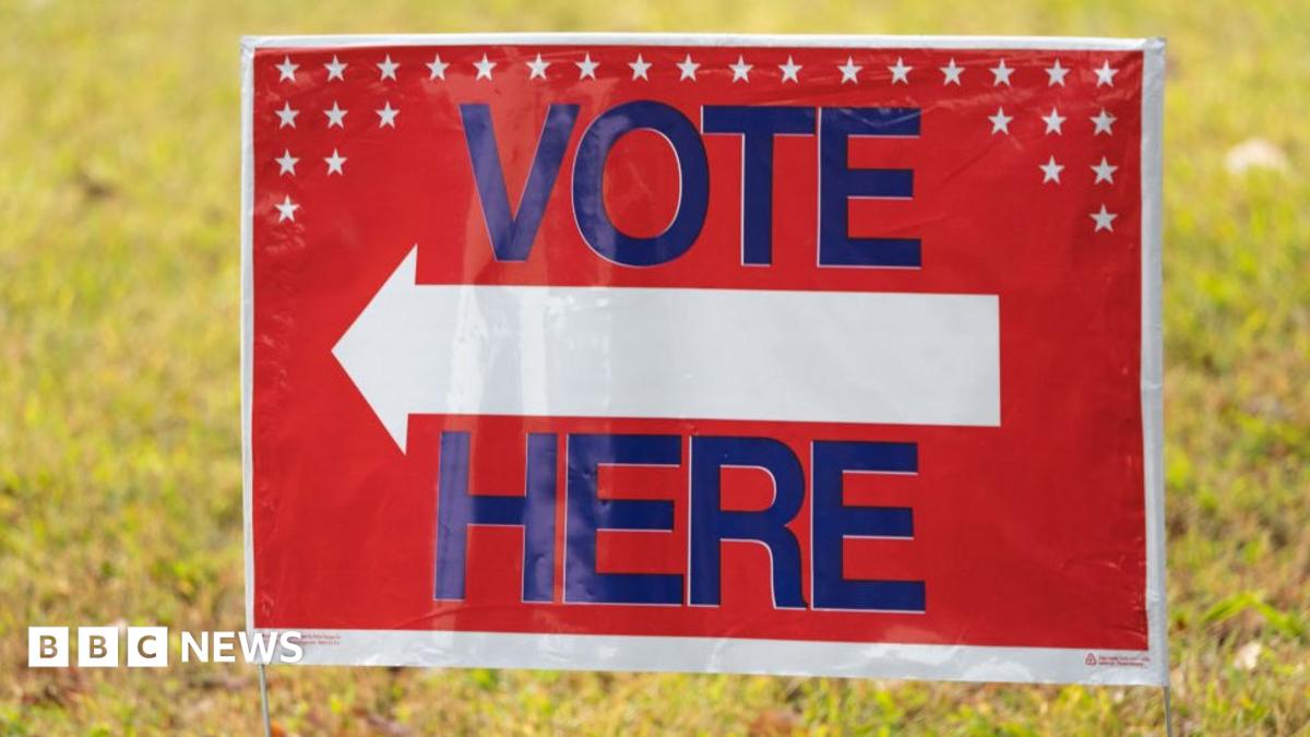 US midterm elections: Record turnout as early voting starts in Georgia ...
