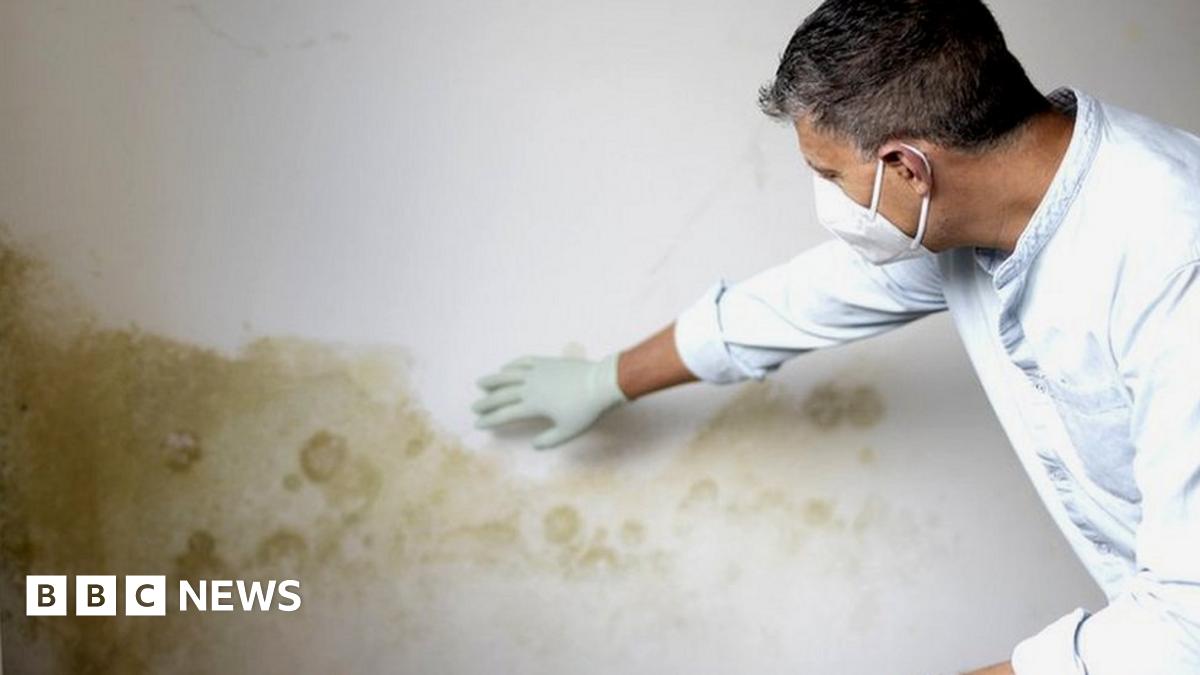 Why there's a boom for damp-busting machines - BBC News