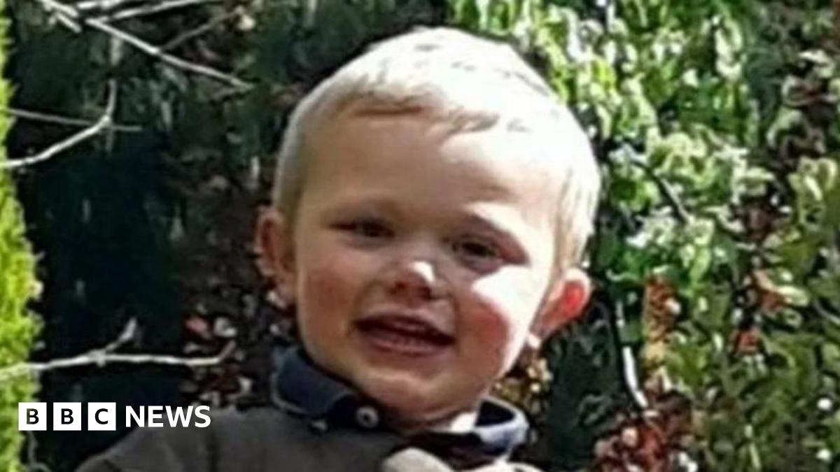 Daniel Twigg: Riot shields used against dogs after boy, 3, killed - BBC ...