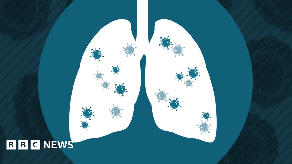 Coronavirus: What it does to the body - BBC News