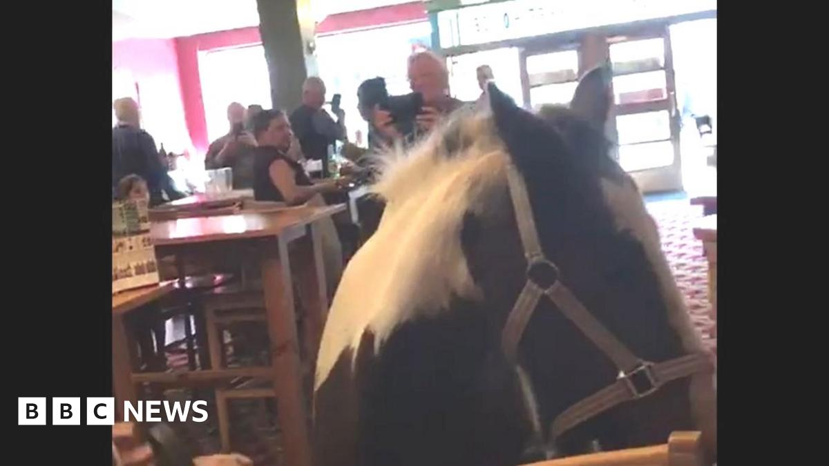 Man takes his horse into Bilston pub - BBC News