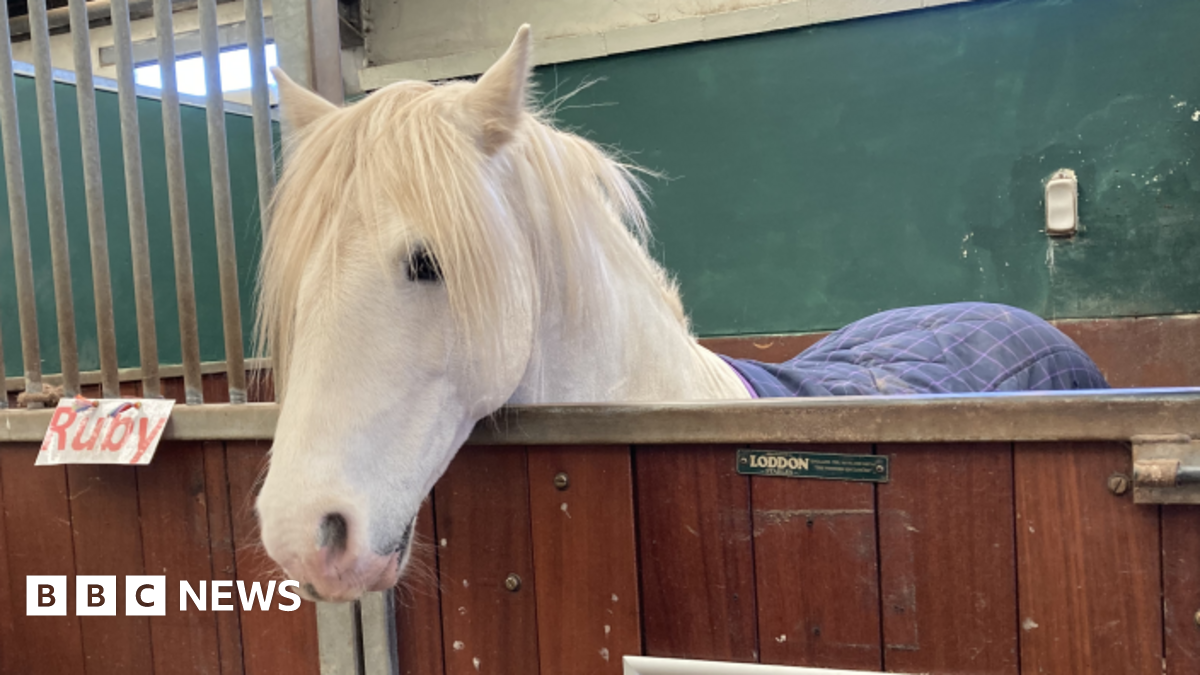 Middlesbrough's RDA Unicorn horse riding centre to close - BBC News