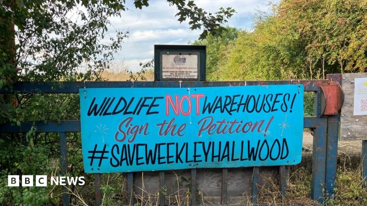 Weekley Hall Wood: Government to rule on warehouse park planning battle ...
