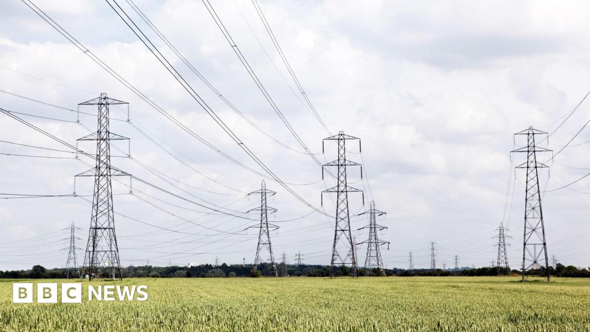 Lincolnshire County Council urges watchdog to scrap pylon plans - BBC News