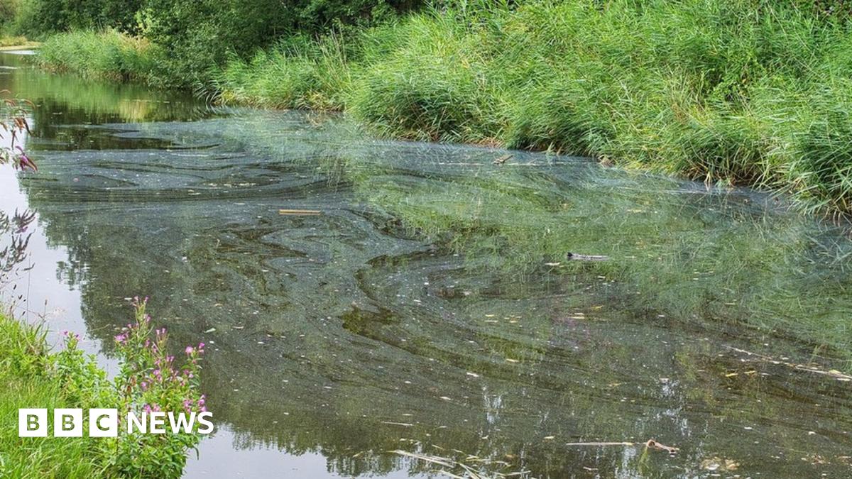 Water companies 'letting down' customers and the environment - BBC News
