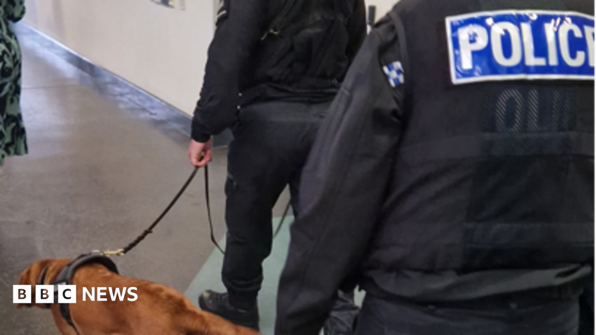 Drug dog visits college to crack down on illegal vapes - BBC News