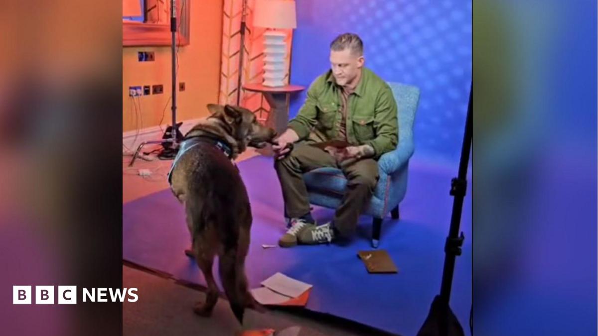 Tom Hardy meeting retired Sussex Police dog at Netflix shoot - BBC News