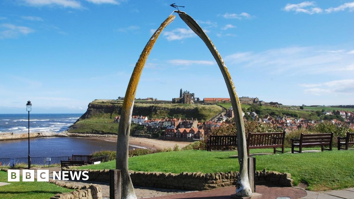 Logistic and ethical issues raised over Whitby's Whale Bone Arch - BBC News