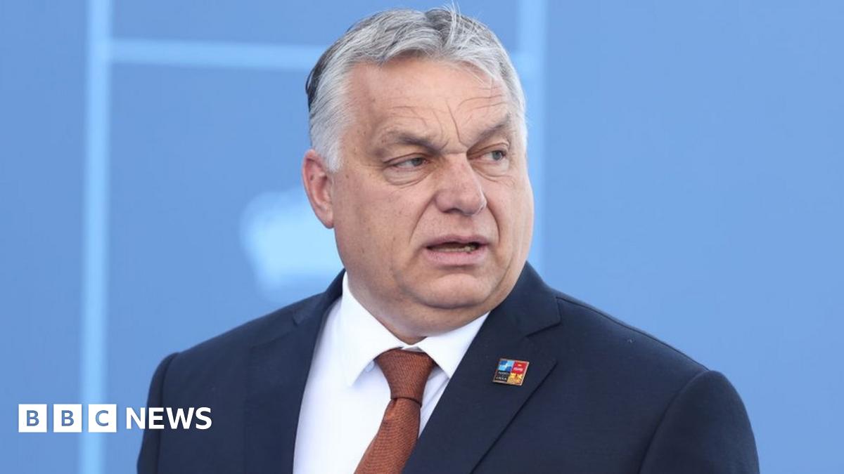Viktor Orban: Hungary 'autocracy' verdict from EU correct, say ...