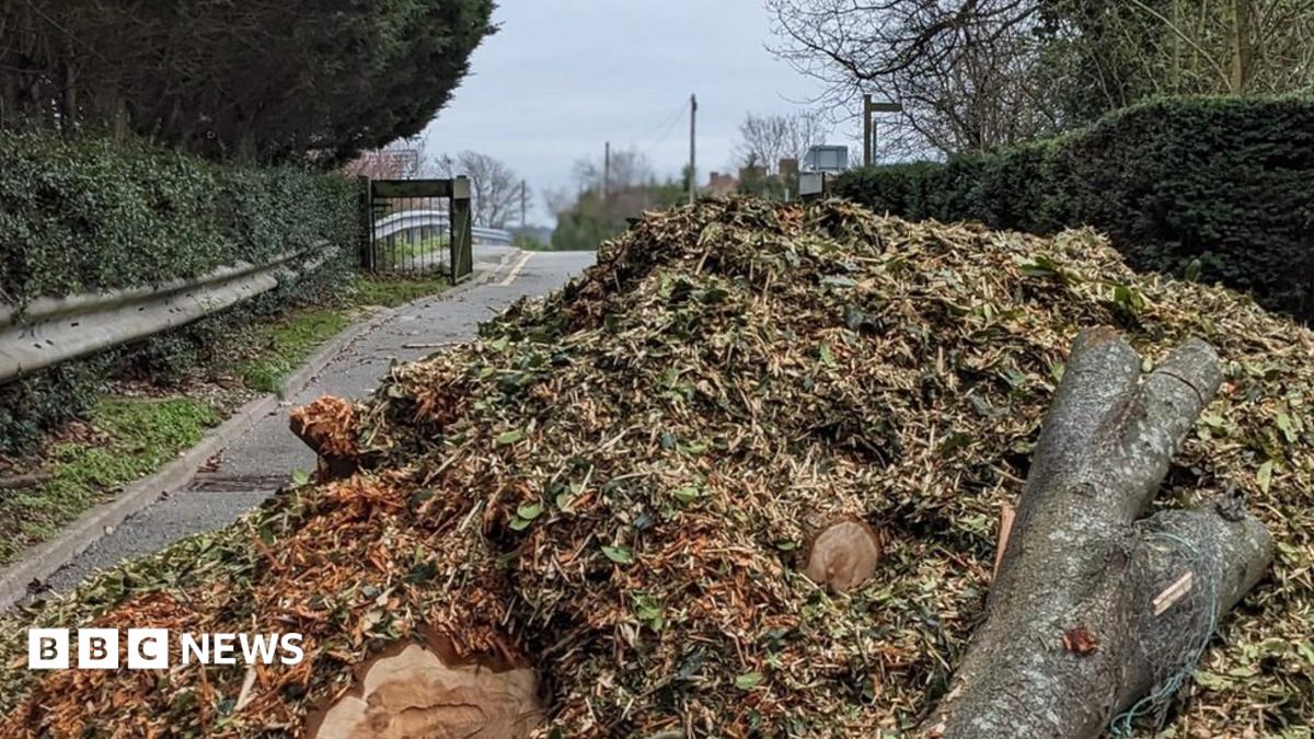 Pitsea Cemetery entrance blocked by fly-tipped green waste - BBC News