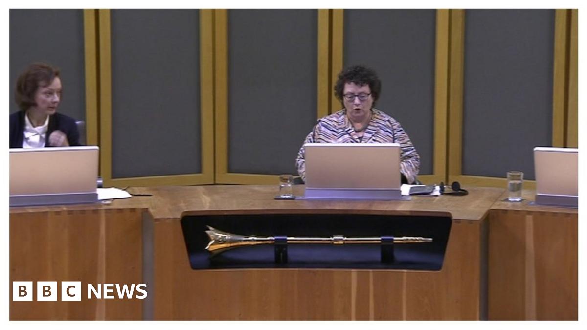 Llywydd to consider four AMs’ request to form Brexit Party group - BBC News