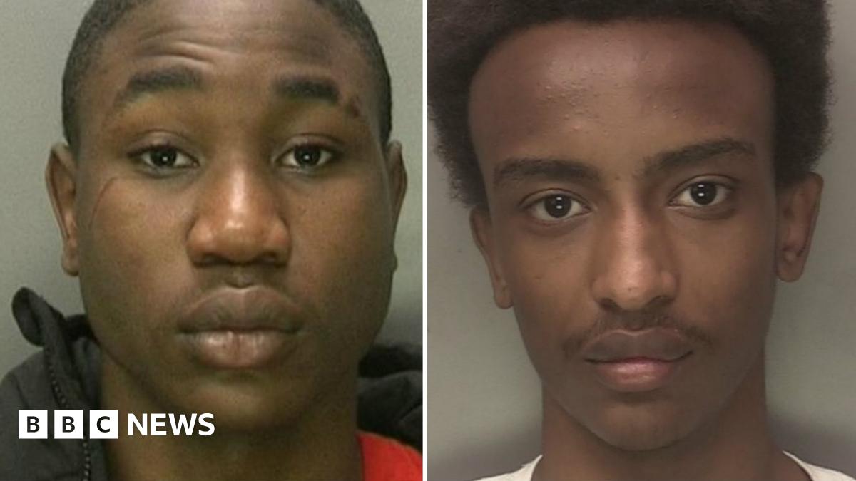 Jaydon James: Two jailed for Coventry teen gang murder - BBC News
