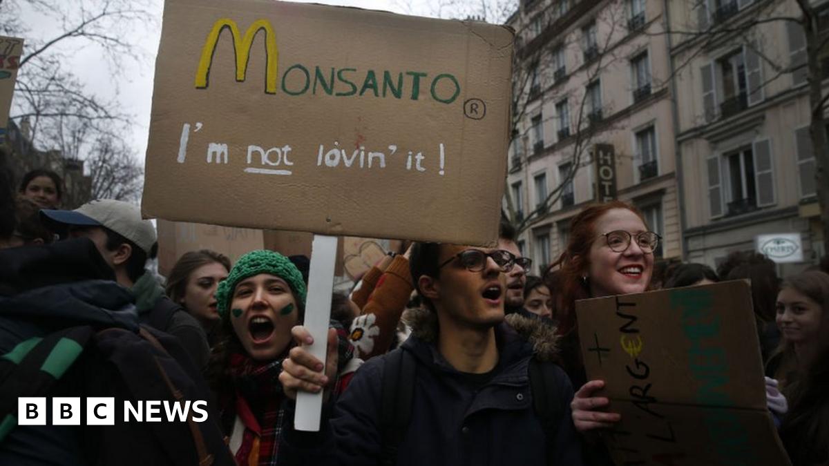 Bayer Monsanto: PCB maker ordered to pay $857m for toxic leaks - BBC News