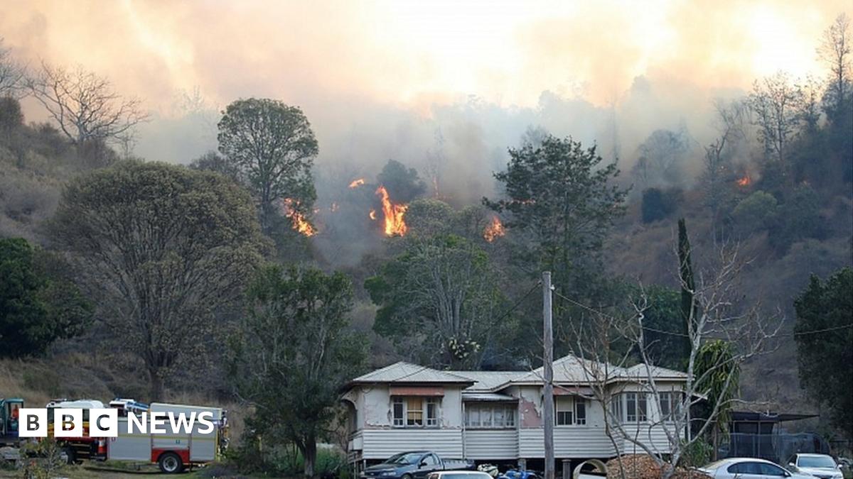 Australian spring bushfires 'an omen' for summer season - BBC News
