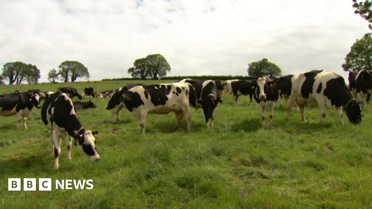 NI farm payment cut 'could change landscape' - BBC News