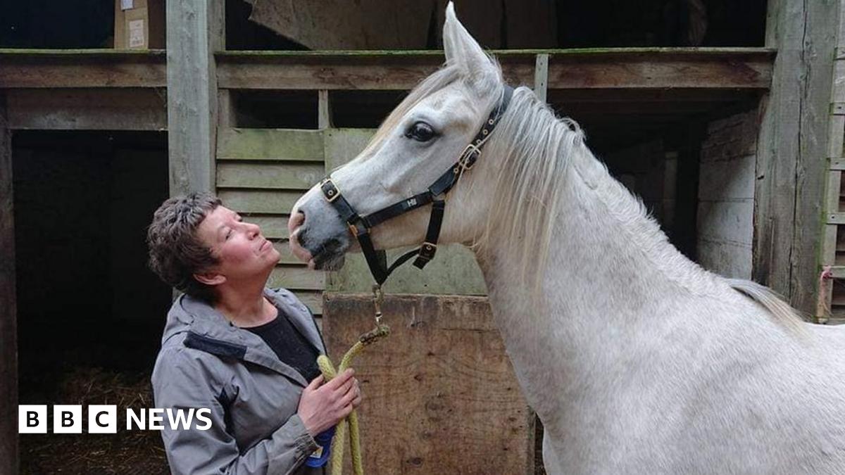 Kate Bevan: Author killed on farm was 'force of nature' - BBC News