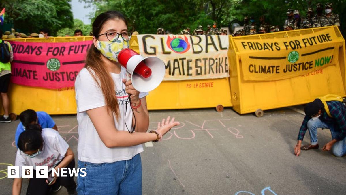 COP27: Can India really adopt a climate-friendly lifestyle? - BBC News