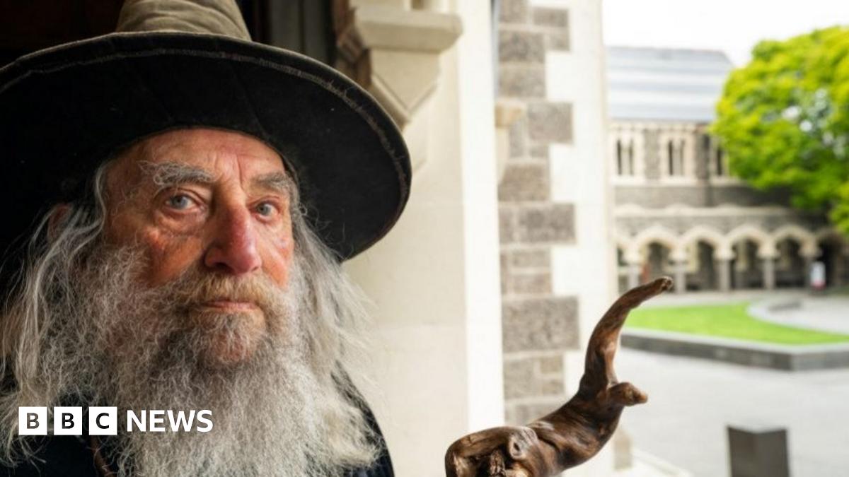 Christchurch: New Zealand city parts ways with its wizard - BBC News