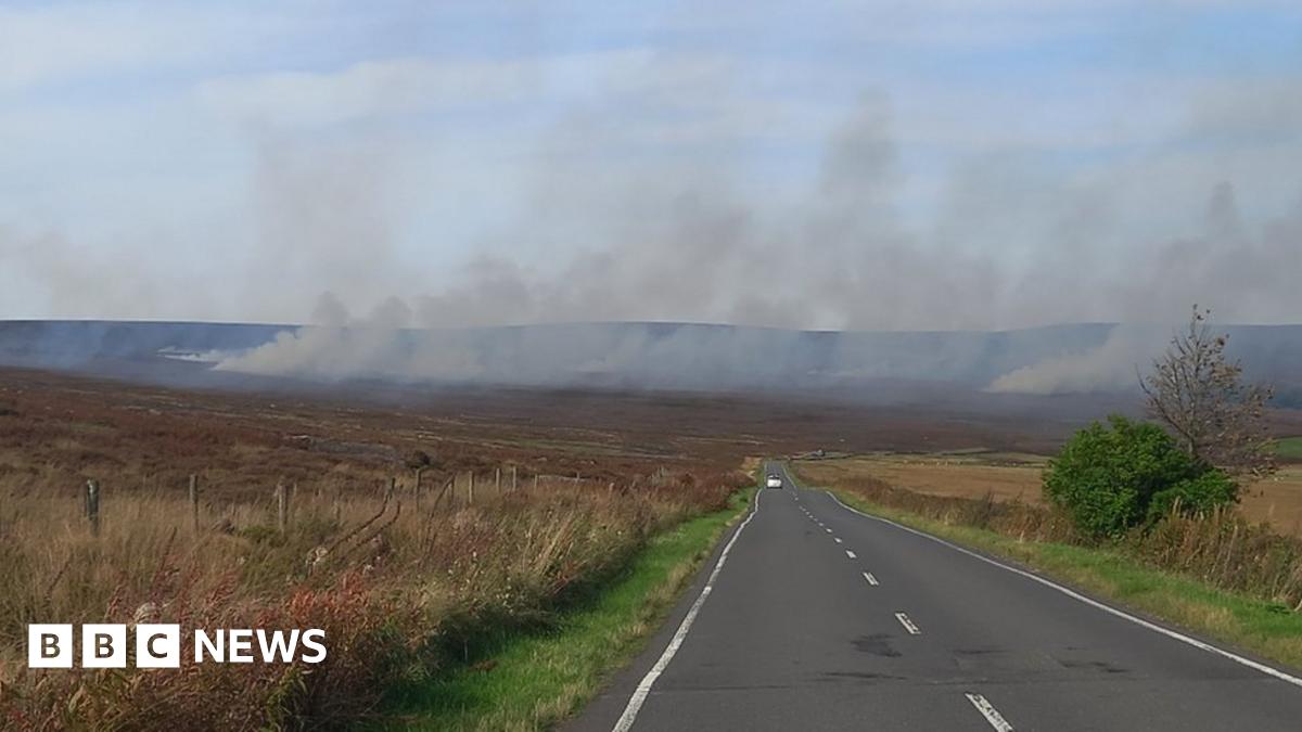 Sheffield: plumes of smoke prompt air quality and wildlife concerns ...