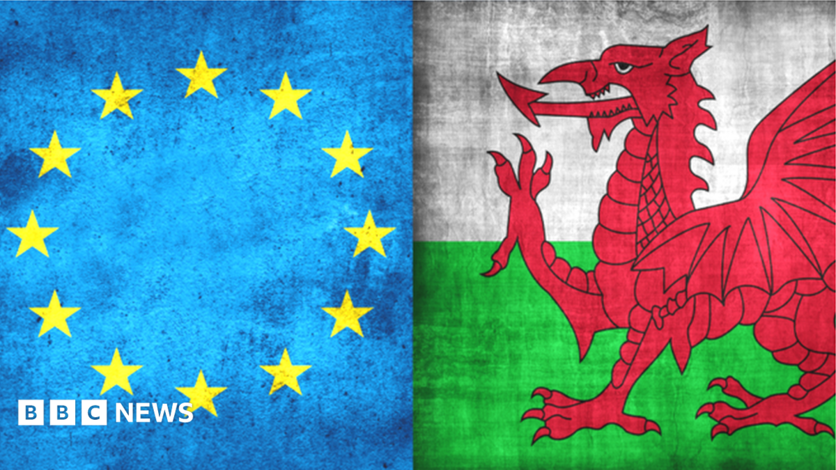 Brexit: Plaid Cymru switch focus to Wales' future - BBC News