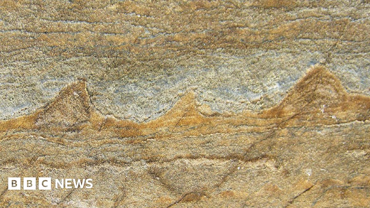 Wavy Greenland rock features 'are oldest fossils' - BBC News