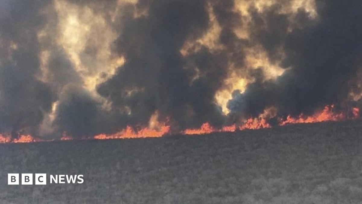 Bolivia wildfires in east extinguished by rain - BBC News