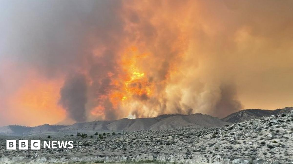 US heatwave: Wildfires rage in western states as temperatures soar ...