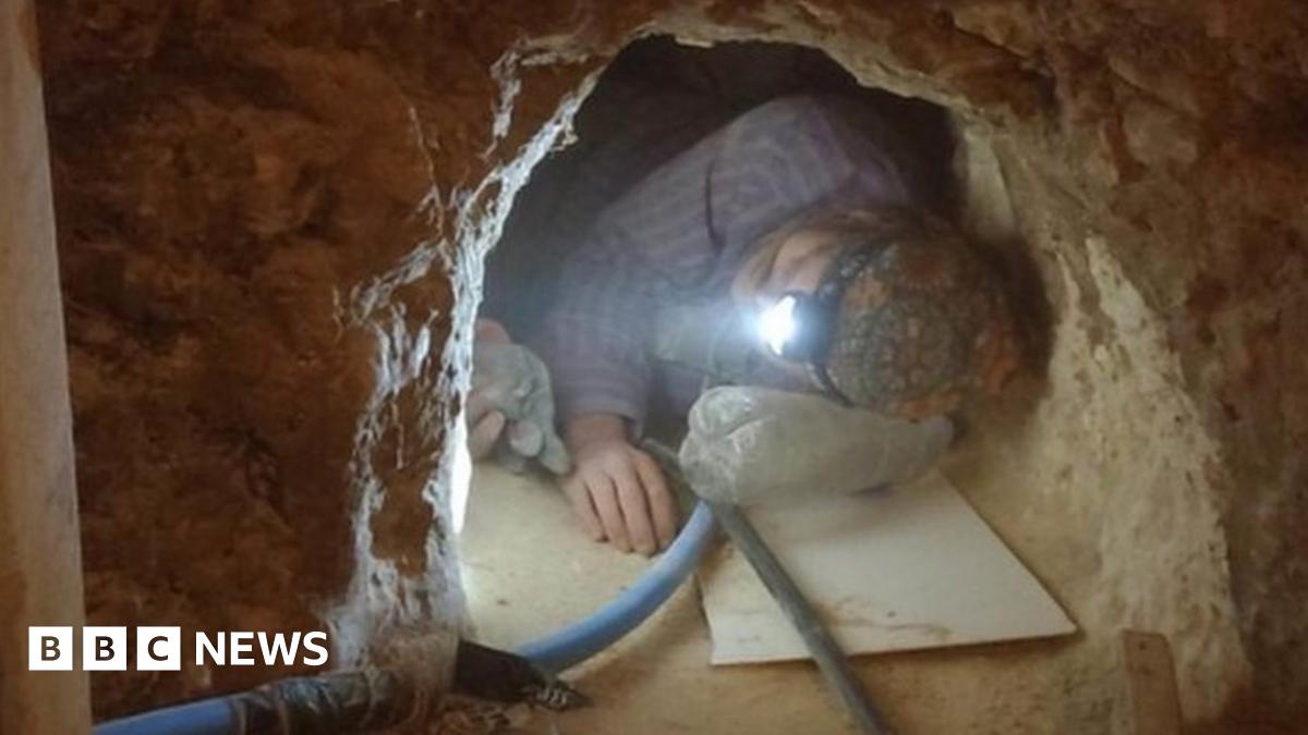 HS2: Swampy says protesters' tunnelling can halt project - BBC News