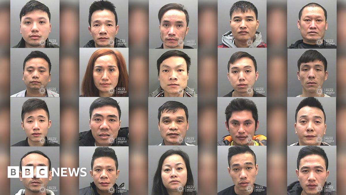 Vietnamese gang leaders jailed over £6m cannabis haul - BBC News