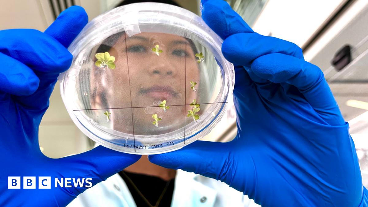 Why should the new government spend money on science? - BBC News