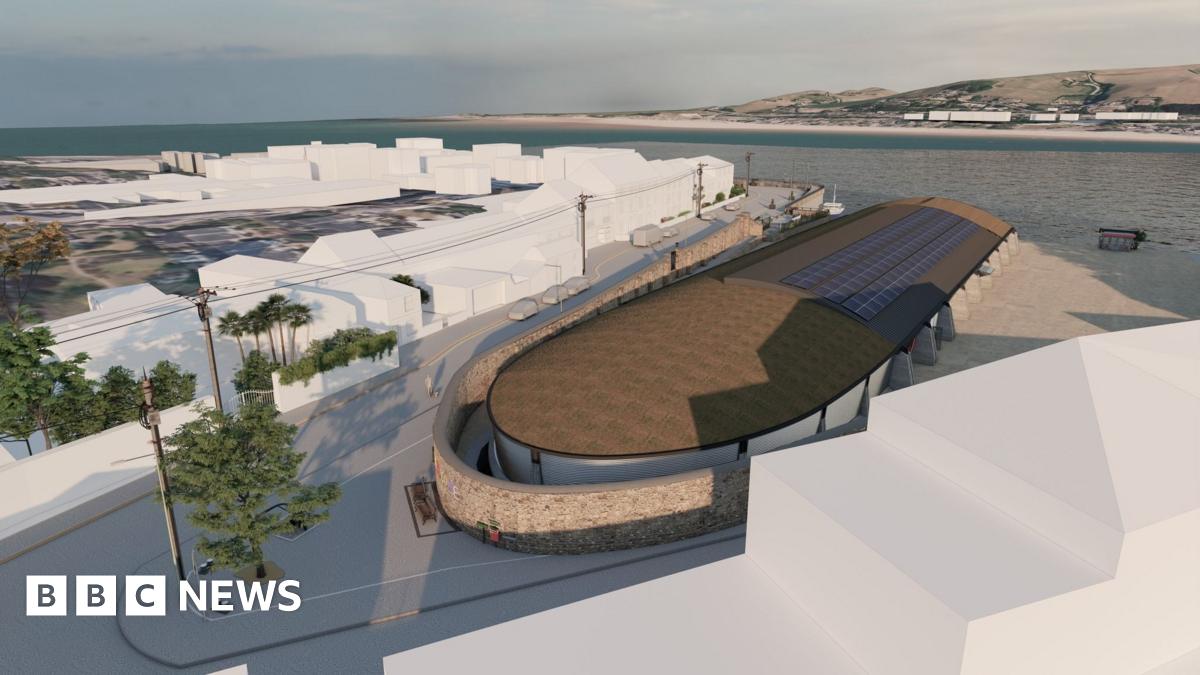 Row over plans for historic Appledore boat site - BBC News