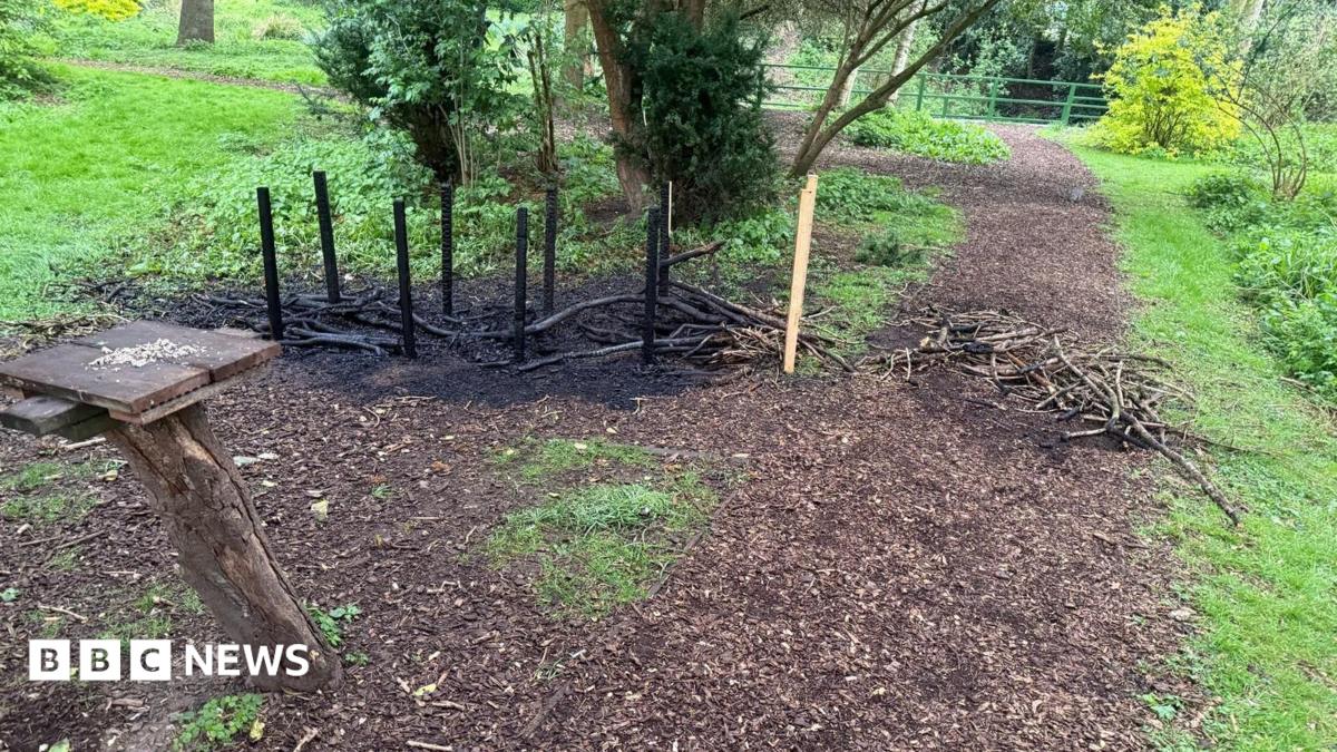 Hanley park visitors warned after series of 'deliberate' fires - BBC News