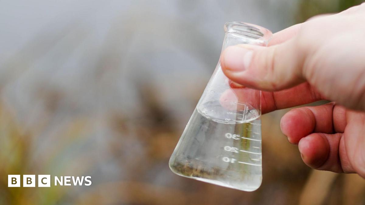 Major rivers in Suffolk to get routine sewage pollution tests - BBC News