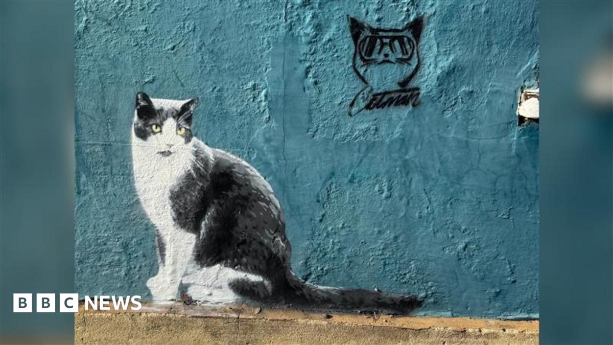 Canterbury mural created for 'gallivanting Griffin' the cat - BBC News