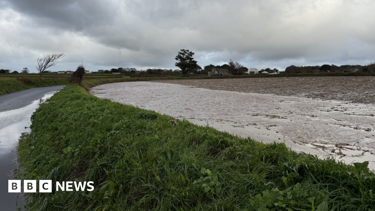 Travel disruption in Guernsey due to flooding and strong winds - BBC News