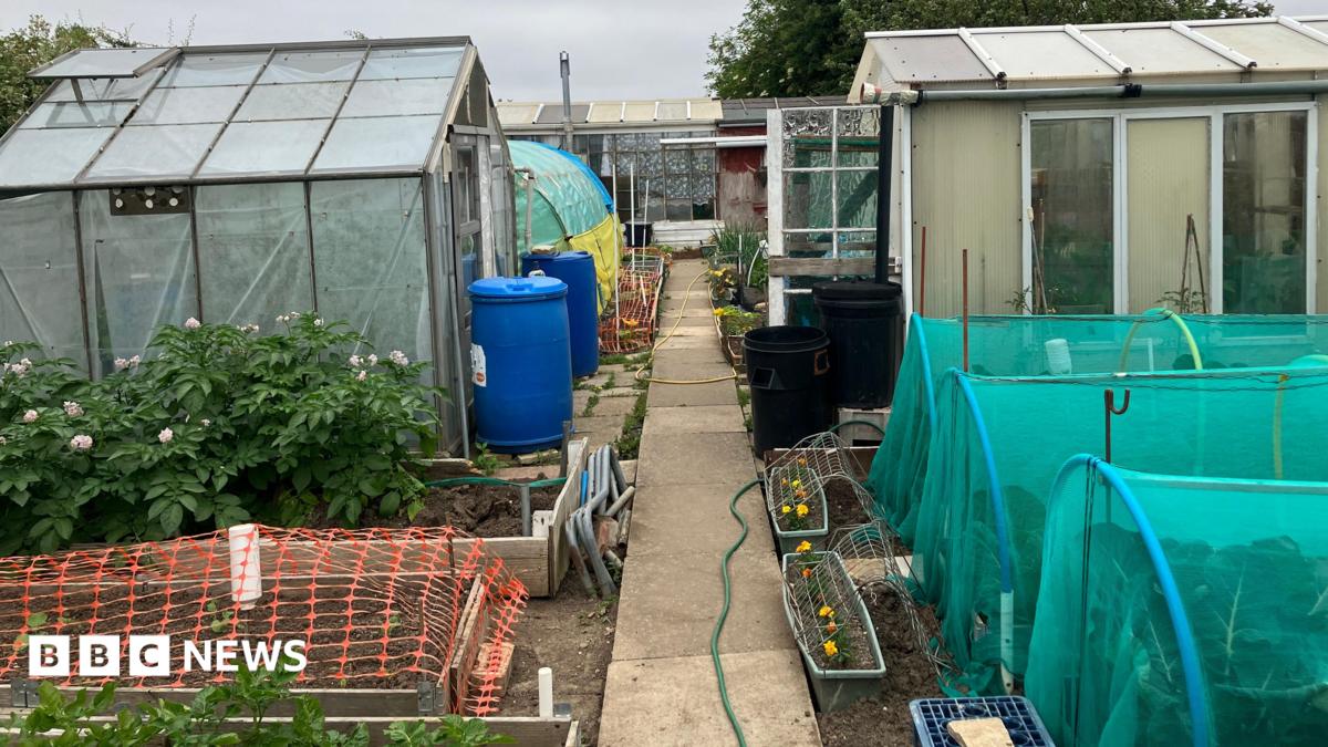 Bristol allotments: Plans to nearly double fees deferred - BBC News