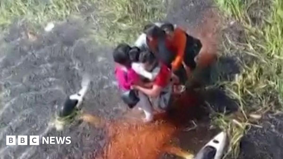 Five people survive 36 hours in swamp 'surrounded by alligators' after ...