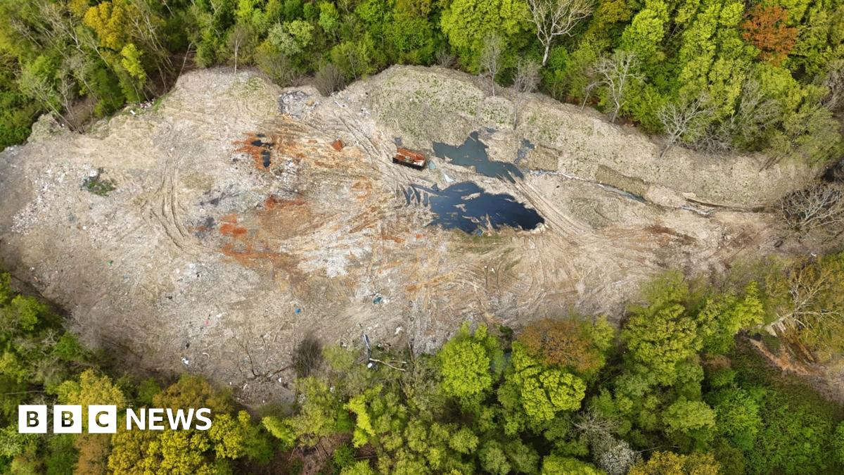 Hoads Wood: The Bluebell woodland turned 'desolate wasteland' - BBC News