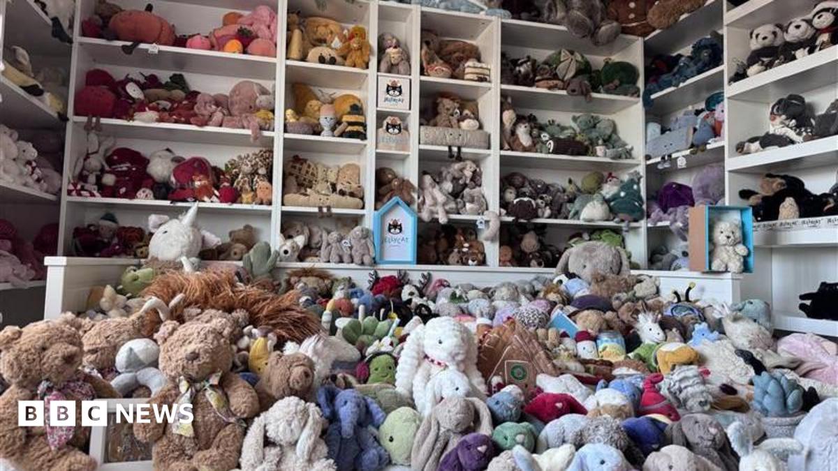 Bedford teen wins world record title for her Jellycat collection - BBC News