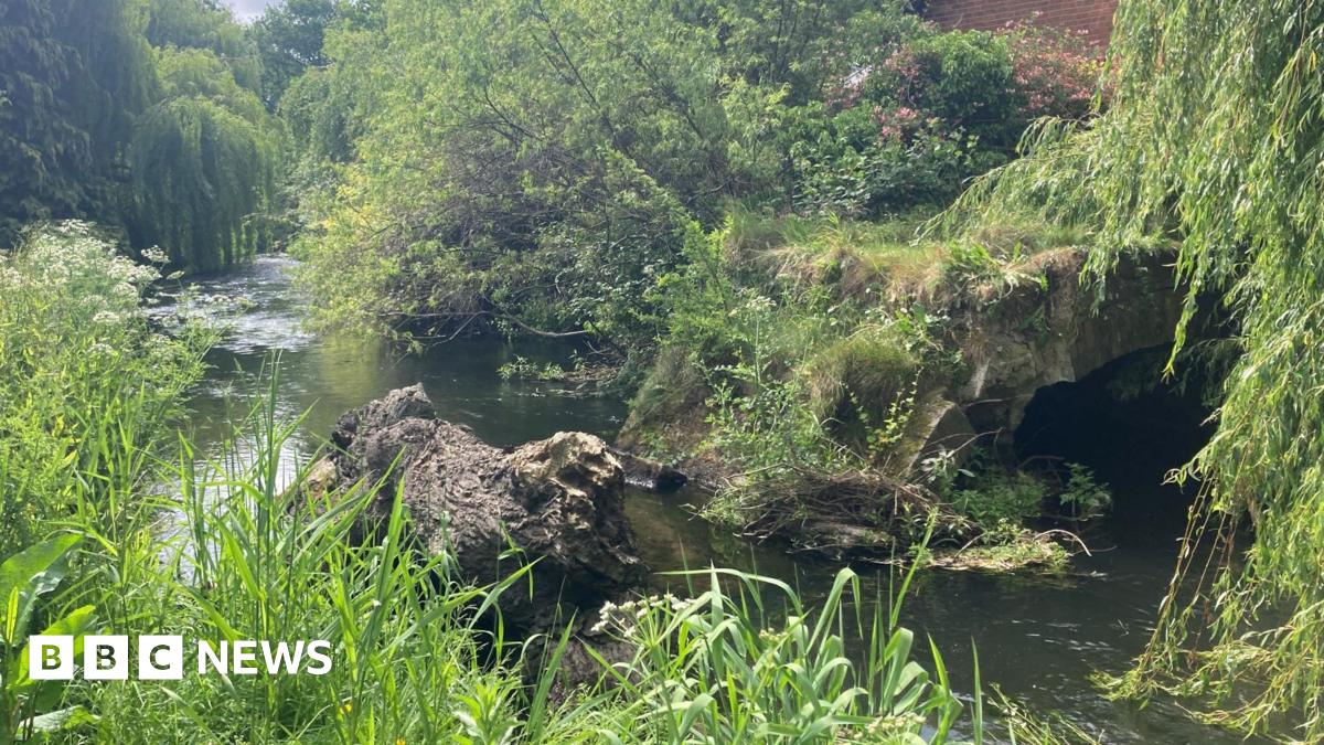 Adcote pupils call for bridge and path to Baschurch to be restored ...